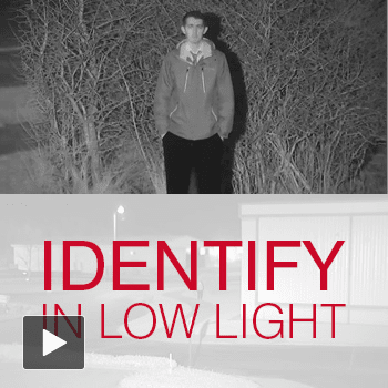 Identifying in Low Light - Raytec