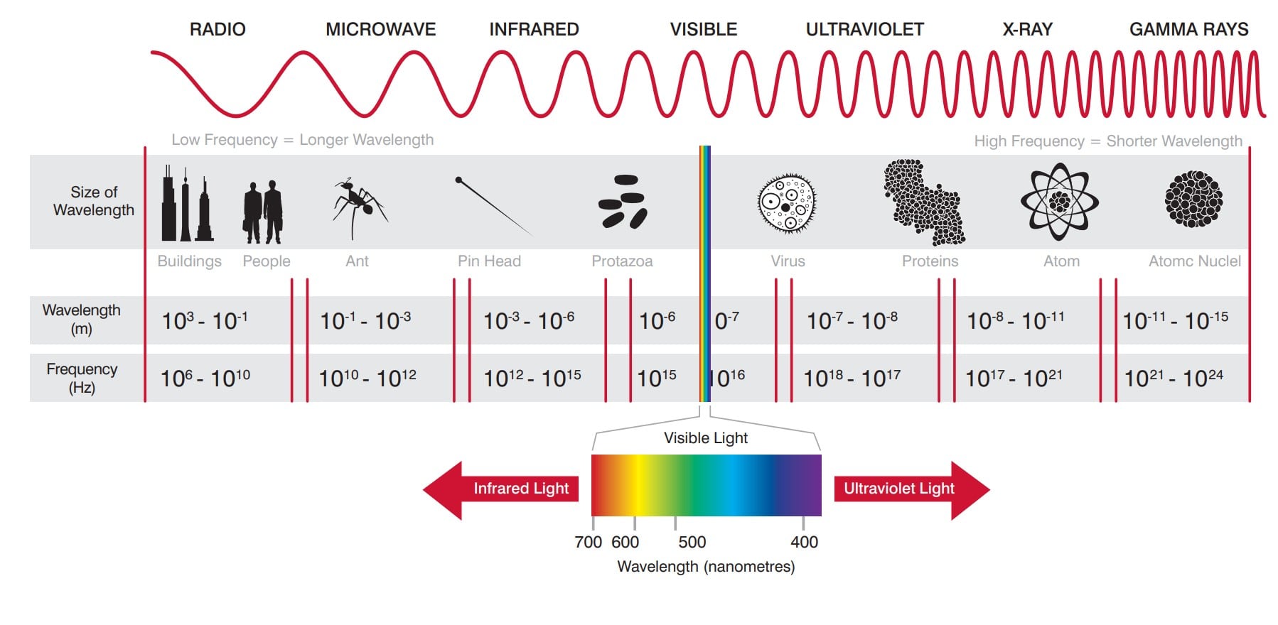 Lighting Theory - Raytec