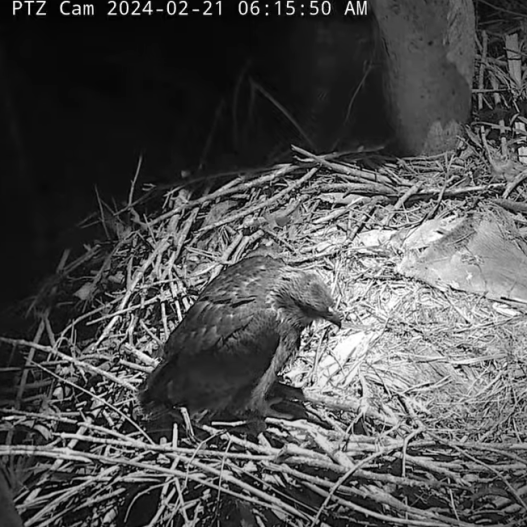 | Raytec Case Studies