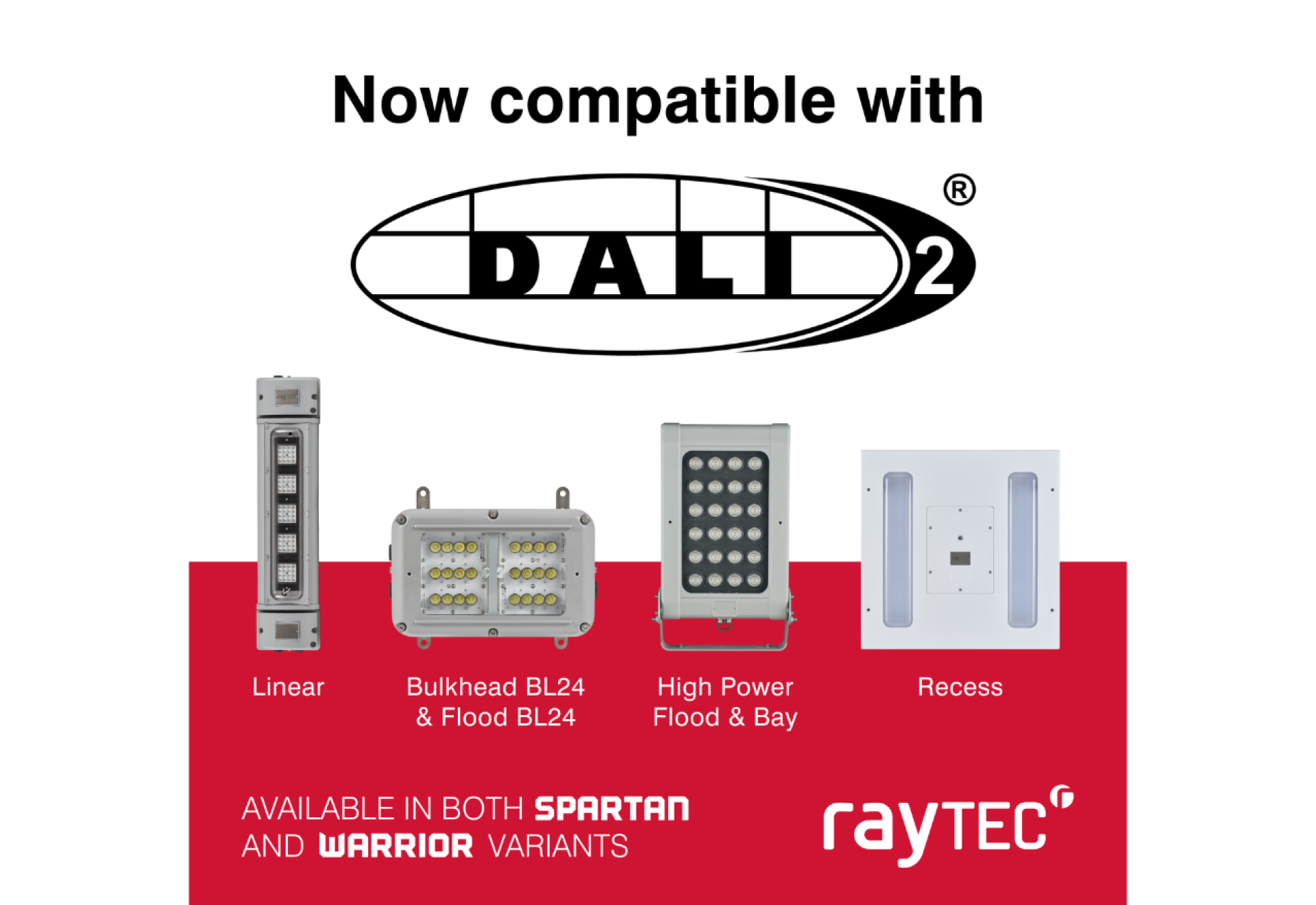 Raytec: Raytec in Review 2024